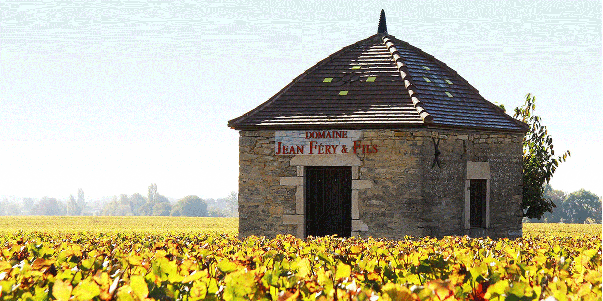 Jean Féry & Fils Bourgogne » De Cave